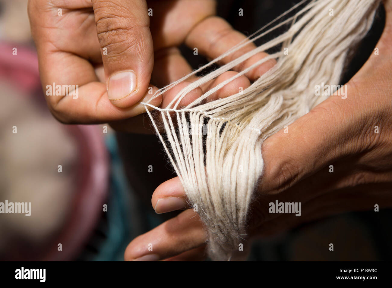 India, Jammu & Kashmir, Srinagar, hands holding spin pashmina wool ...