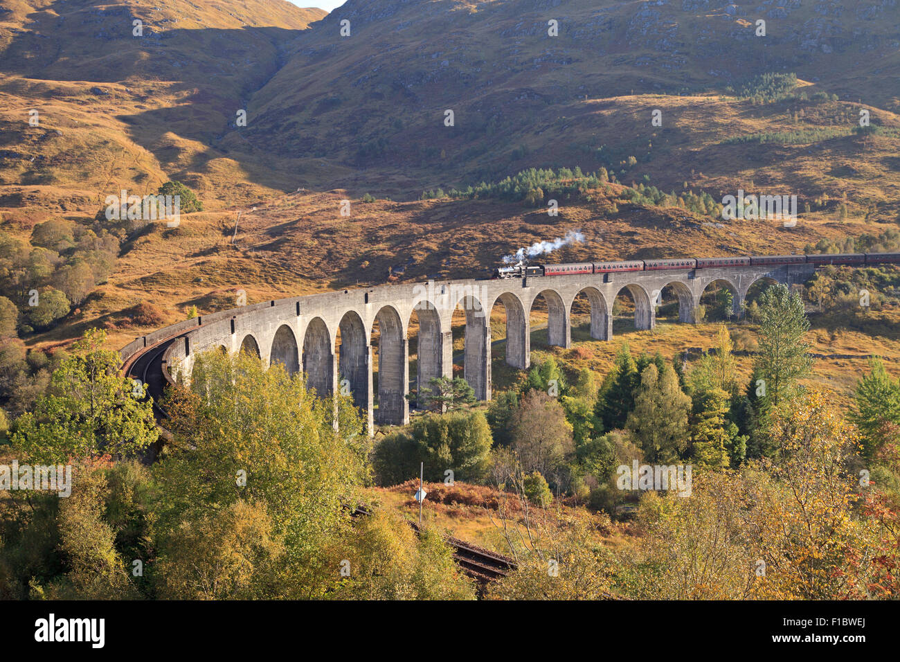 The Jacobite steam train on the Glenfinnan viaduct Scotland Stock Photo ...