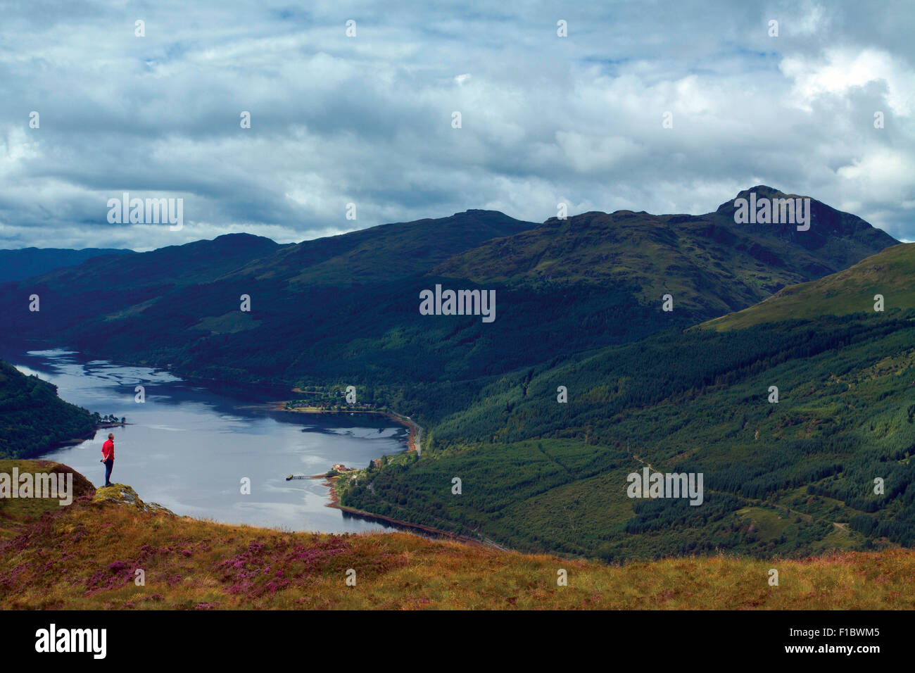 Loch long trossachs hi-res stock photography and images - Alamy