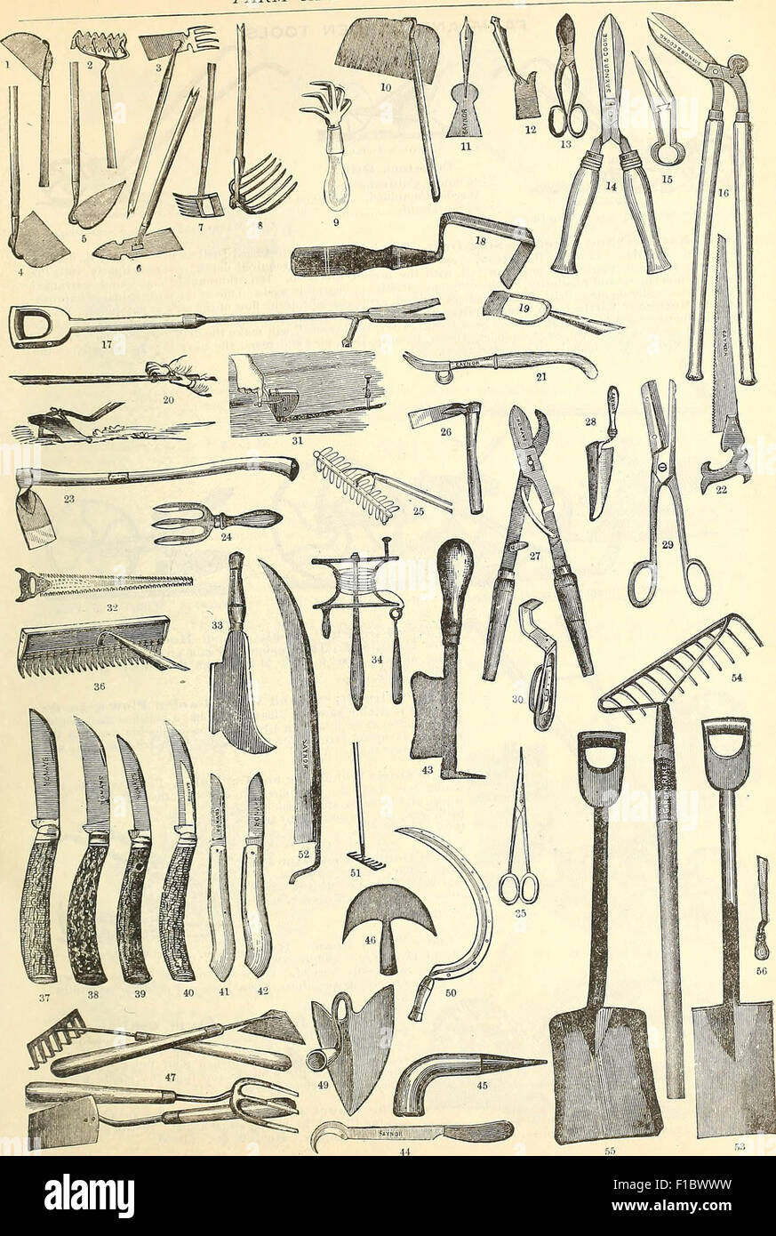 Seeds plants bulbs fertilizers hi-res stock photography and images - Alamy