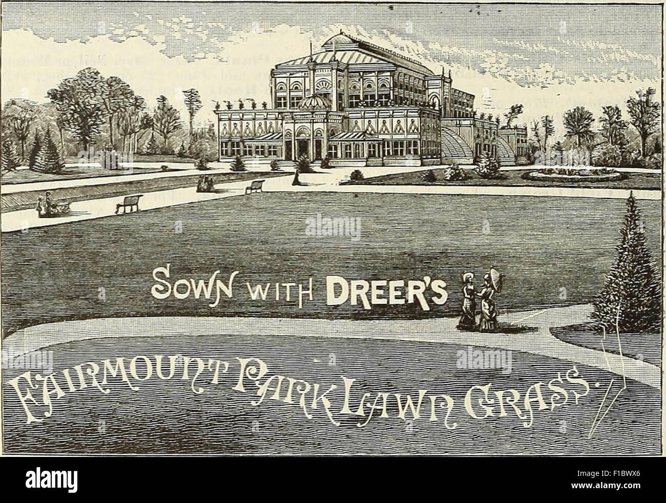 Seeds plants bulbs fertilizers hi-res stock photography and images - Alamy