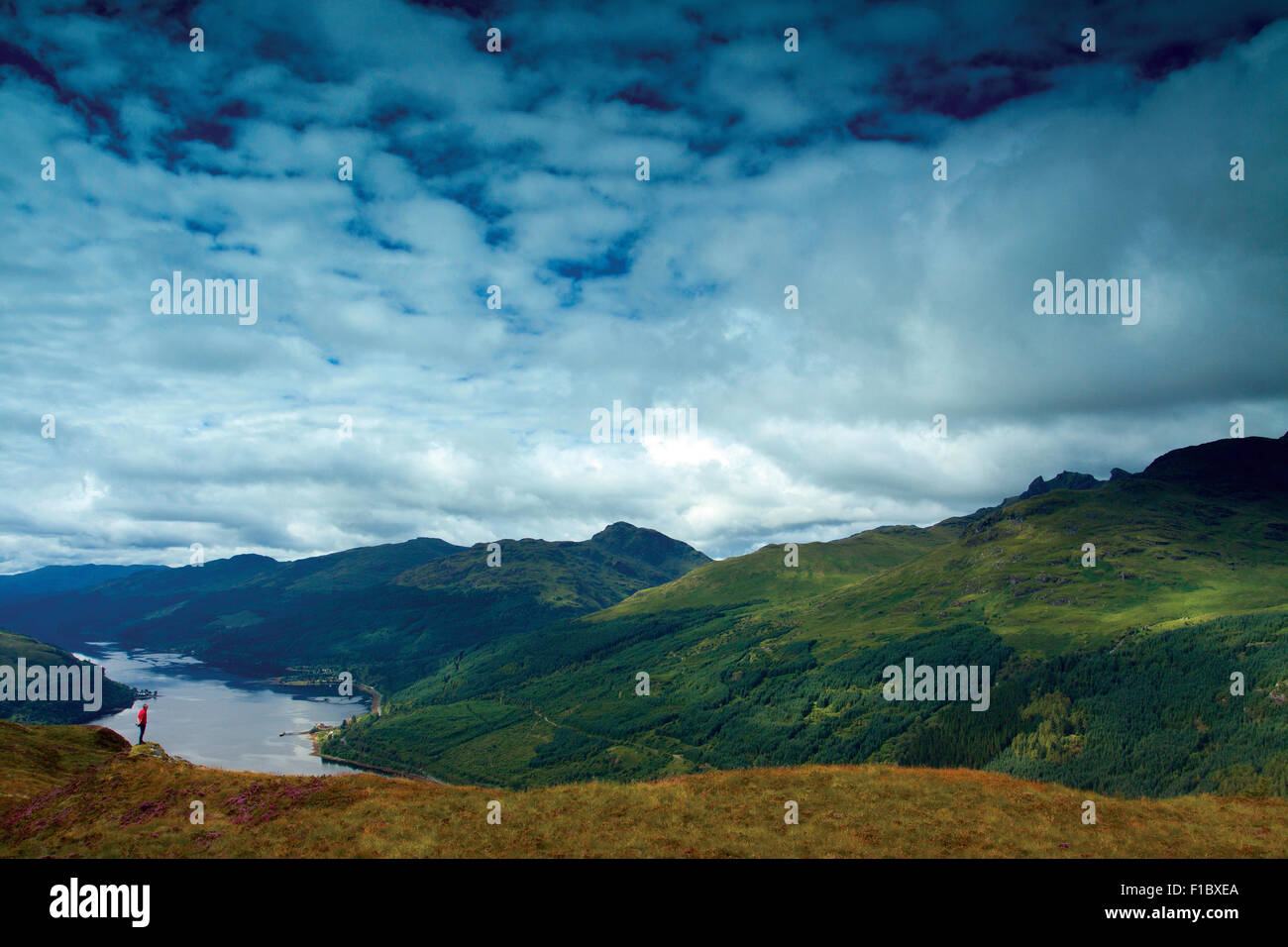 Loch Long and the Arrochar Alps from Cruach Tairbeirt, Loch Lomond and ...