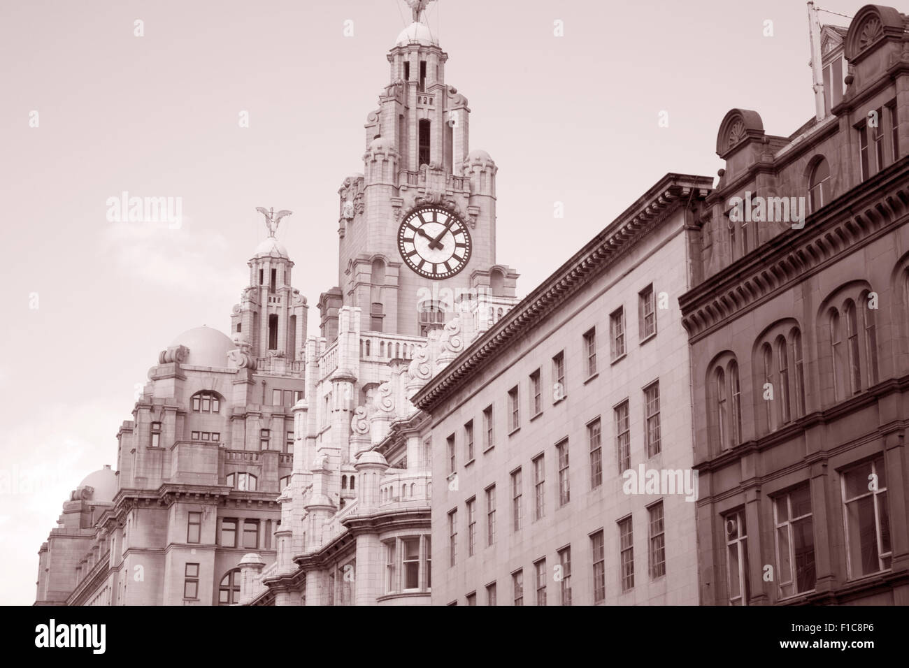 Royal Liver Building, Pier Head; Liverpool; England; UK in Black and ...