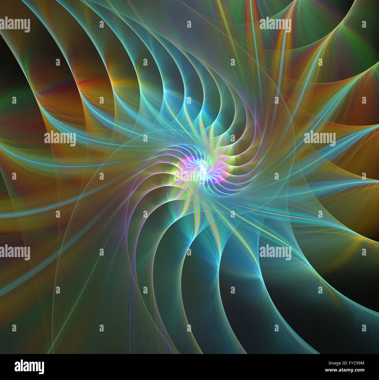 Fractal shell nautilus hi-res stock photography and images - Alamy