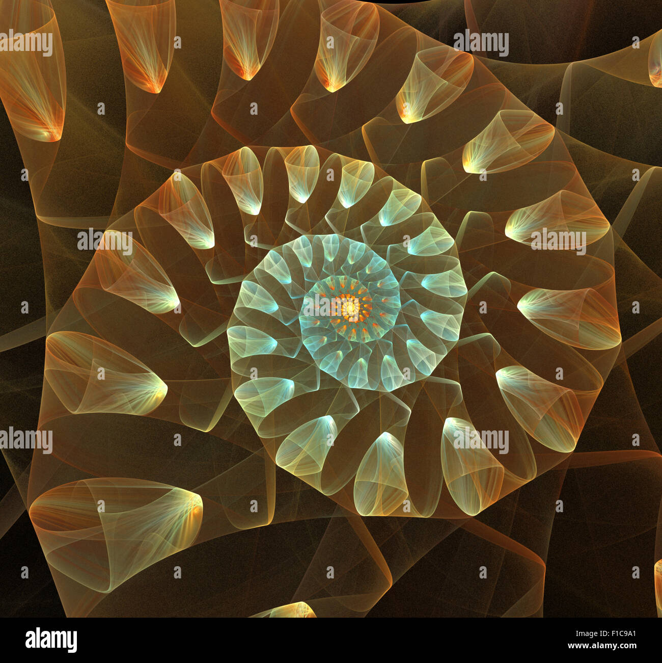 Great spiral shell abstract fractal black background Stock Photo - Alamy