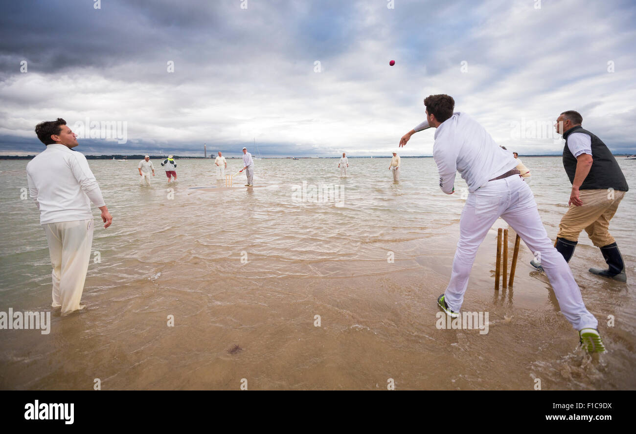 Cricket madness hi-res stock photography and images - Alamy