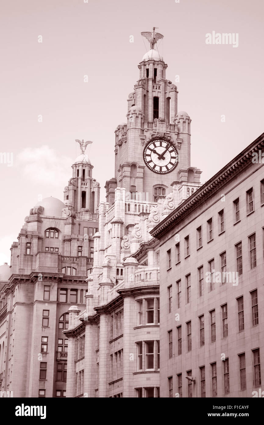 Royal Liver Building, Pier Head; Liverpool; England; UK in Black and ...