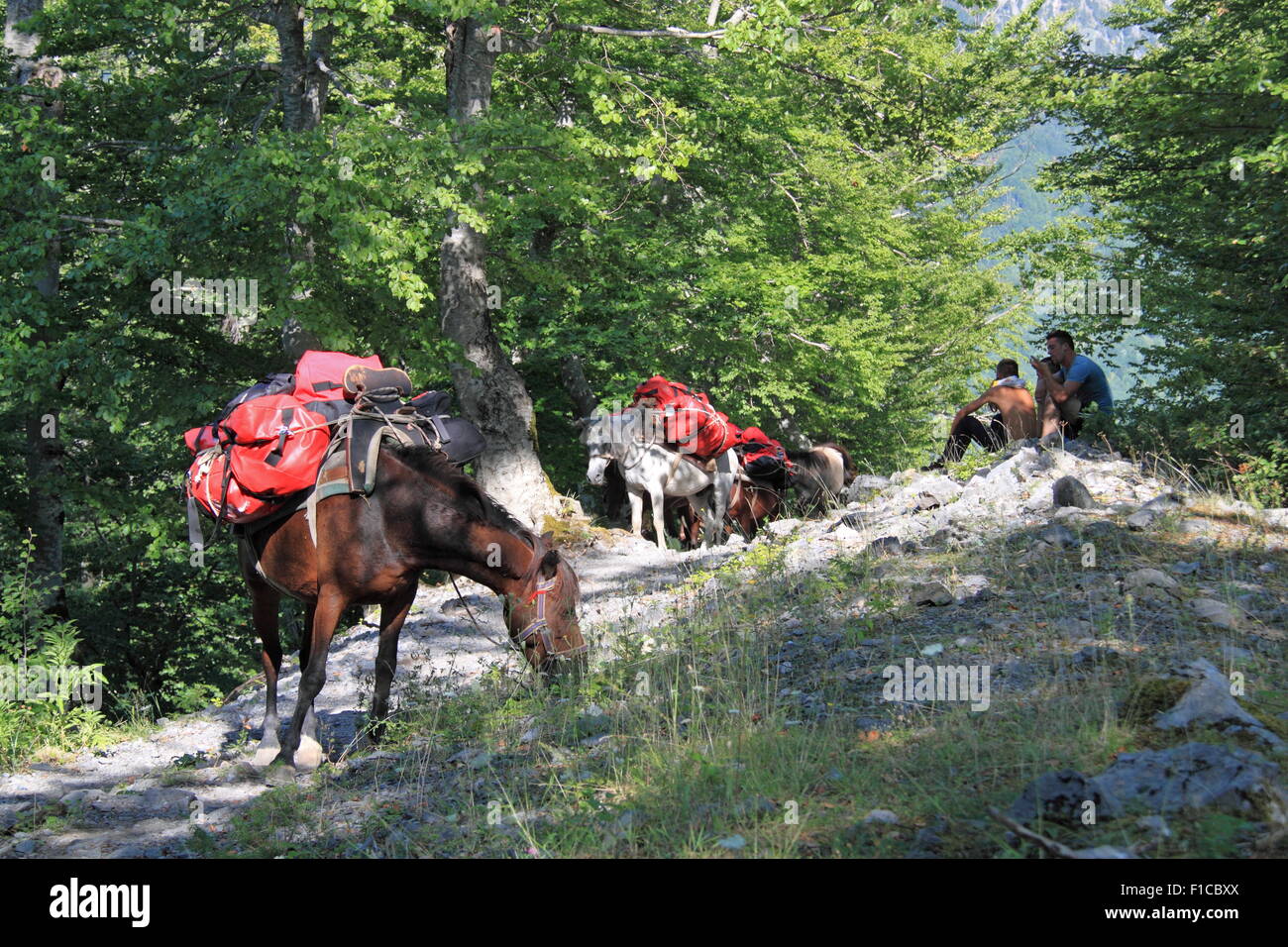 Theth national park hi-res stock photography and images - Alamy