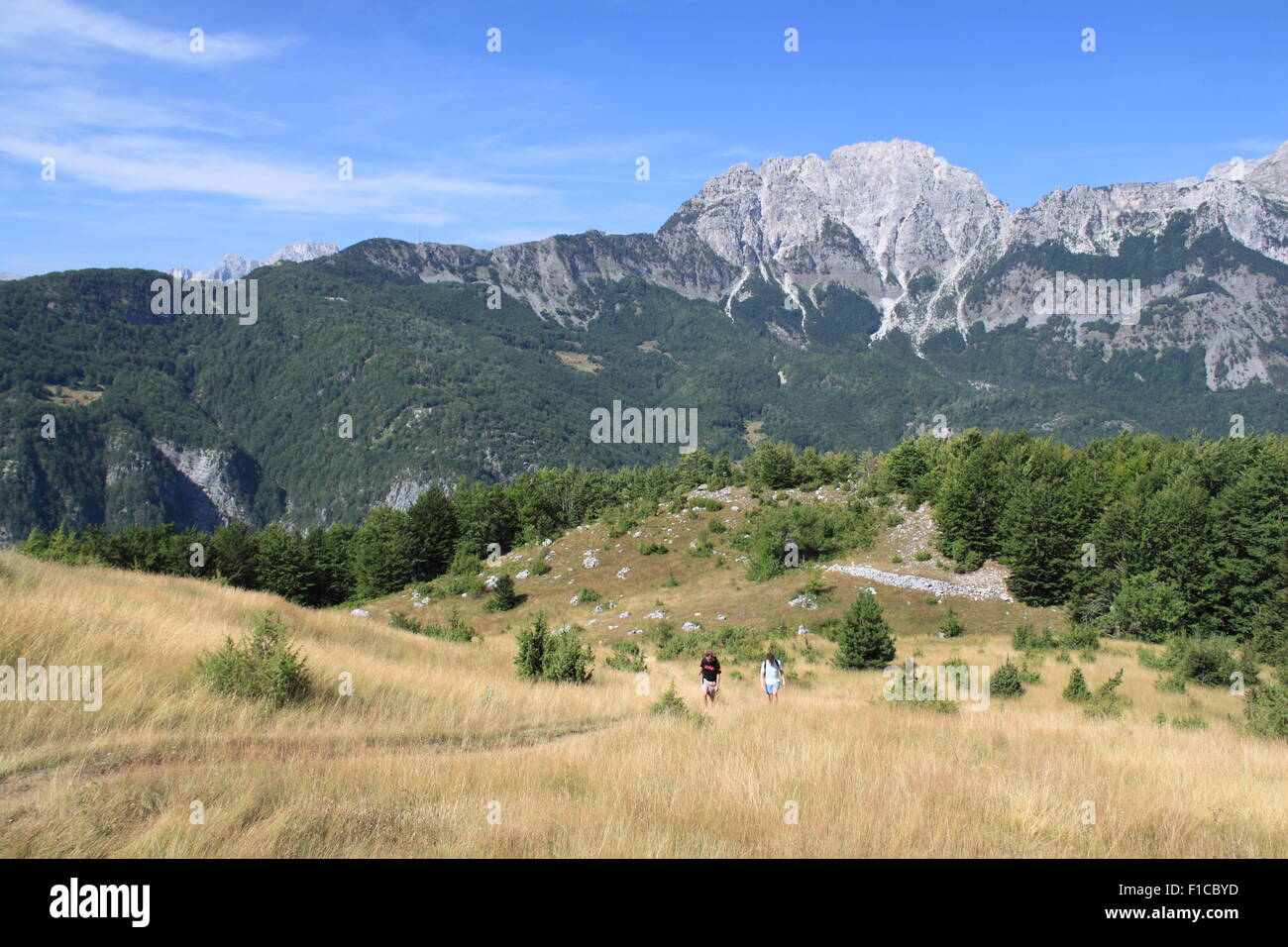 Theth National Park High Resolution Stock Photography and Images - Alamy