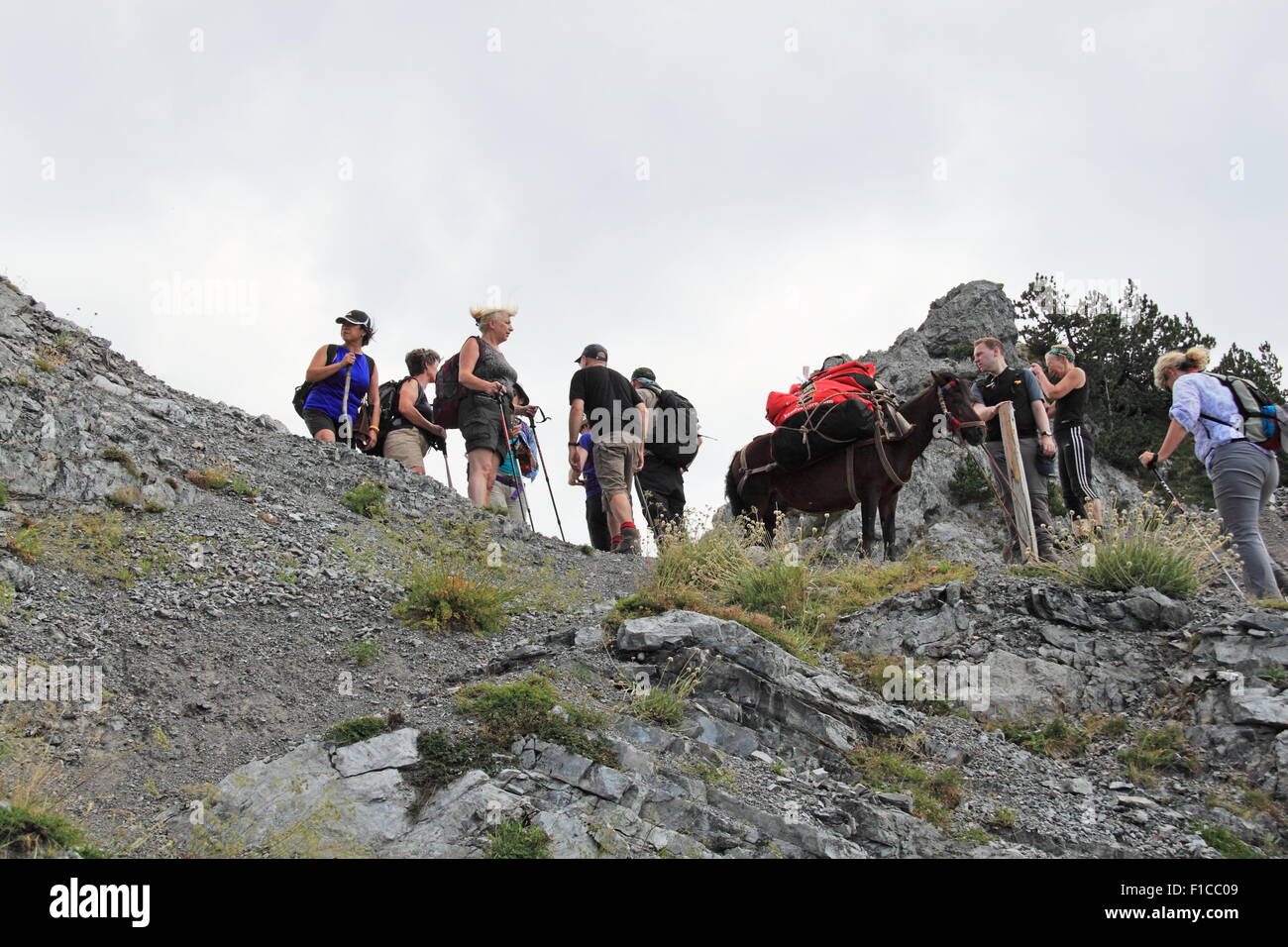 Valbona Pass, Valbona Valley National Park, Accursed Mountains, Albania ...