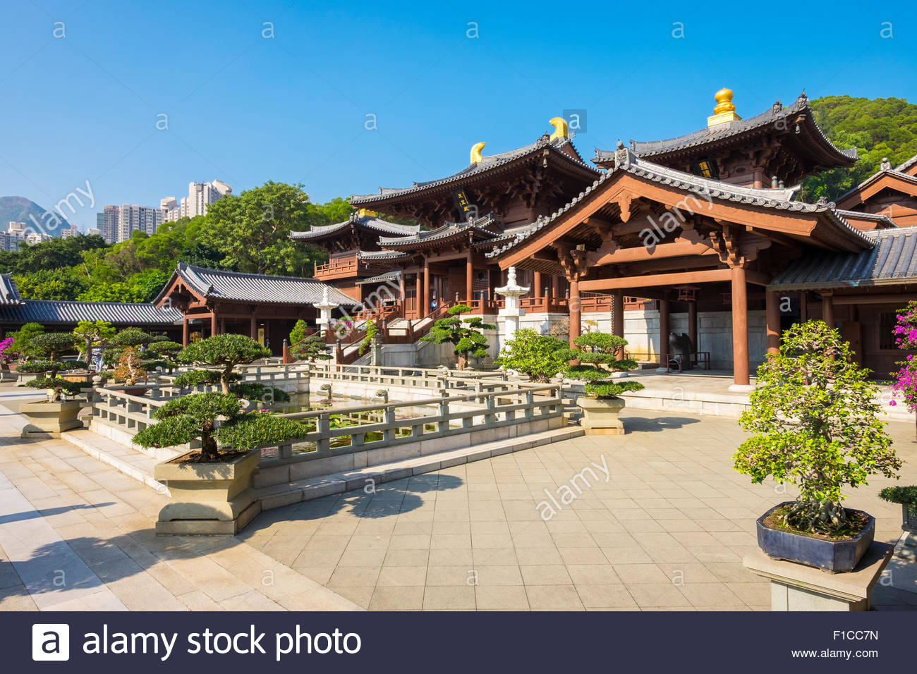 Lin Chi High Resolution Stock Photography and Images - Alamy