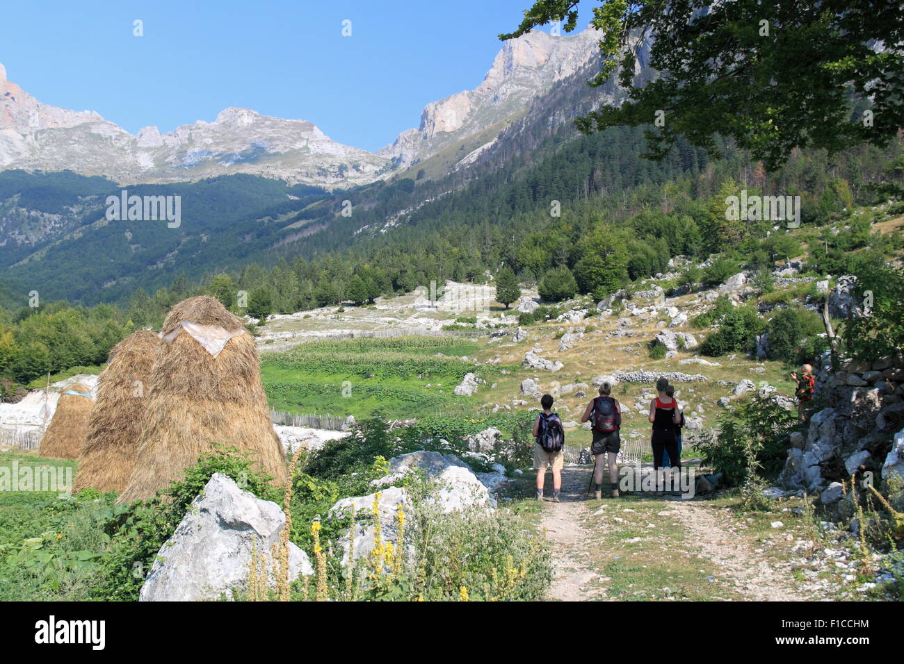 Kukaj, Valbona Valley National Park, Accursed Mountains, Albania ...