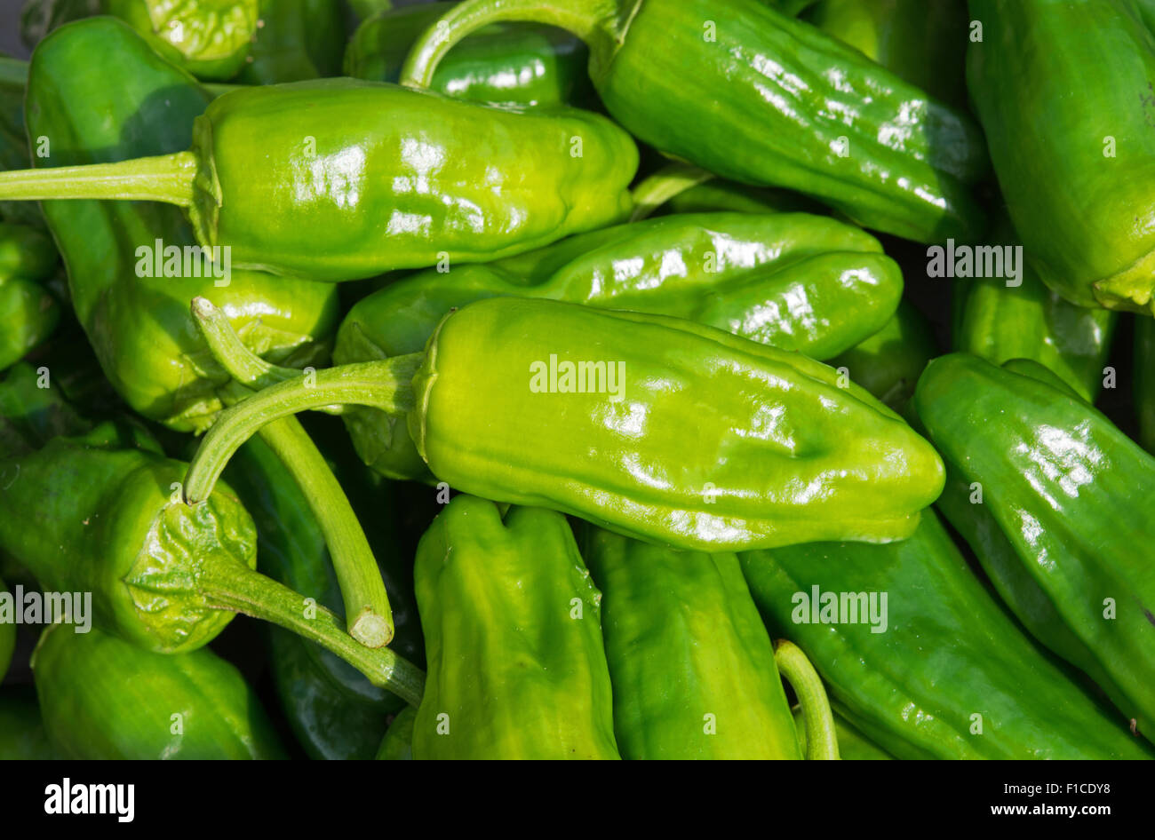 Pimiento hi-res stock photography and images - Alamy