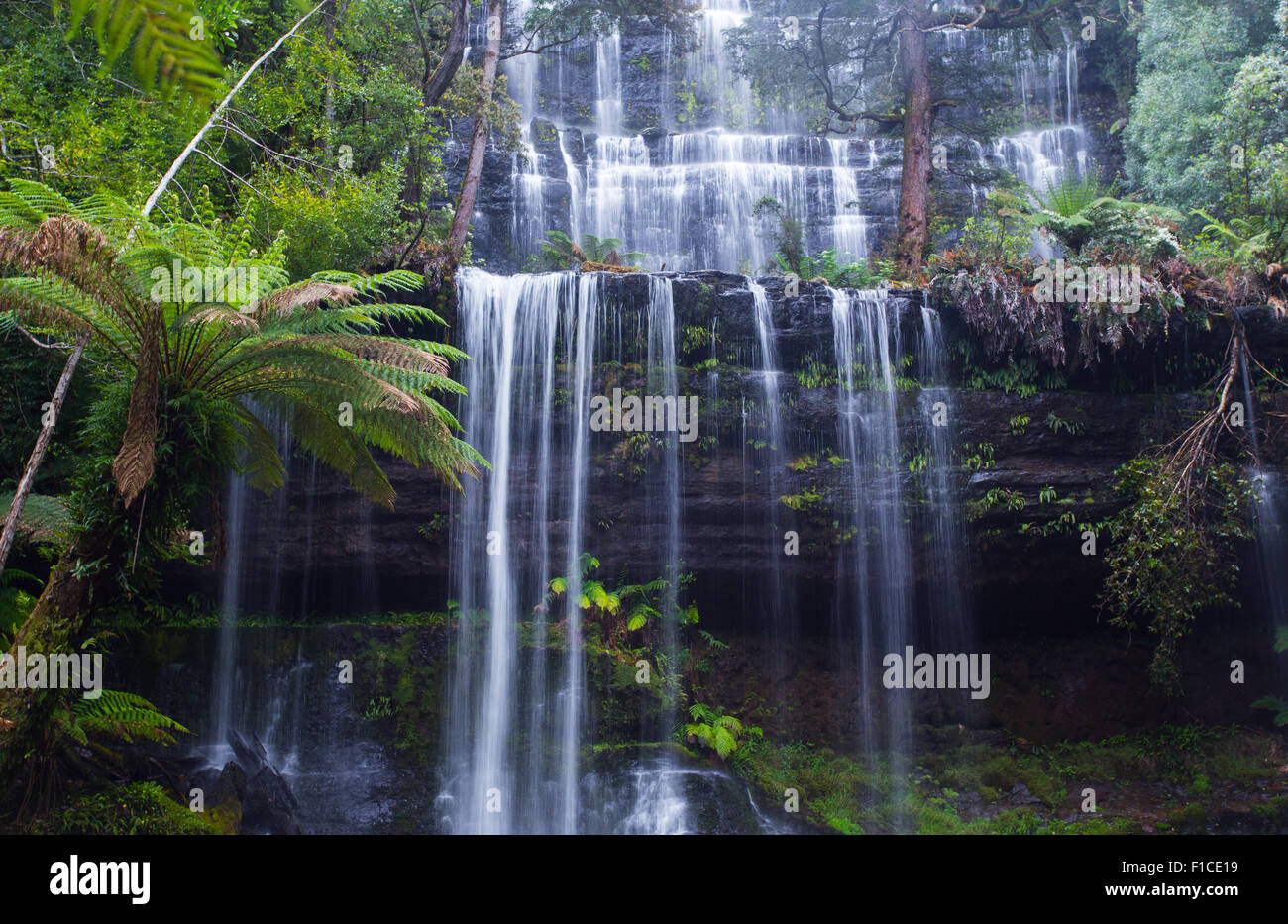 Russell Falls in Mount Field National Park, Tasmania Stock Photo - Alamy