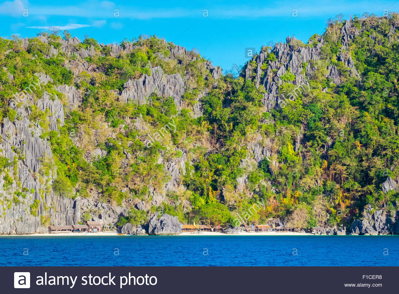 Native To The Philippines High Resolution Stock Photography and Images ...