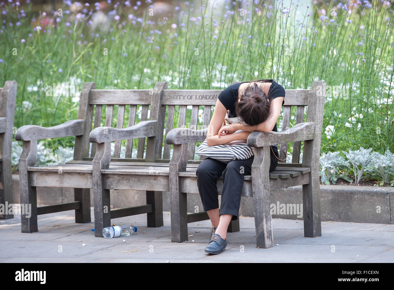 Asleep on a bench hi-res stock photography and images - Alamy