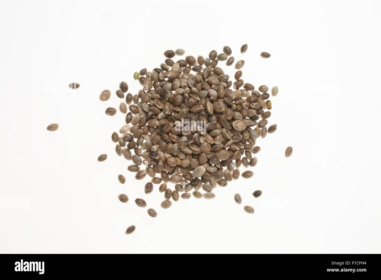 Hemp seeds or hemp nuts are a high-protein food source Stock Photo - Alamy