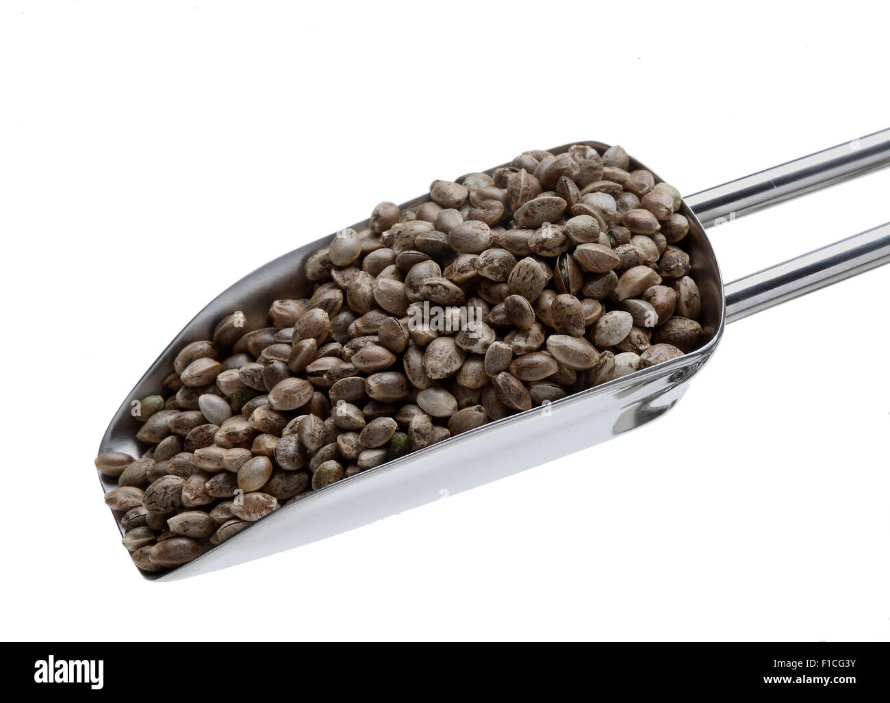 Hemp seeds or hemp nuts are a high-protein food source Stock Photo - Alamy
