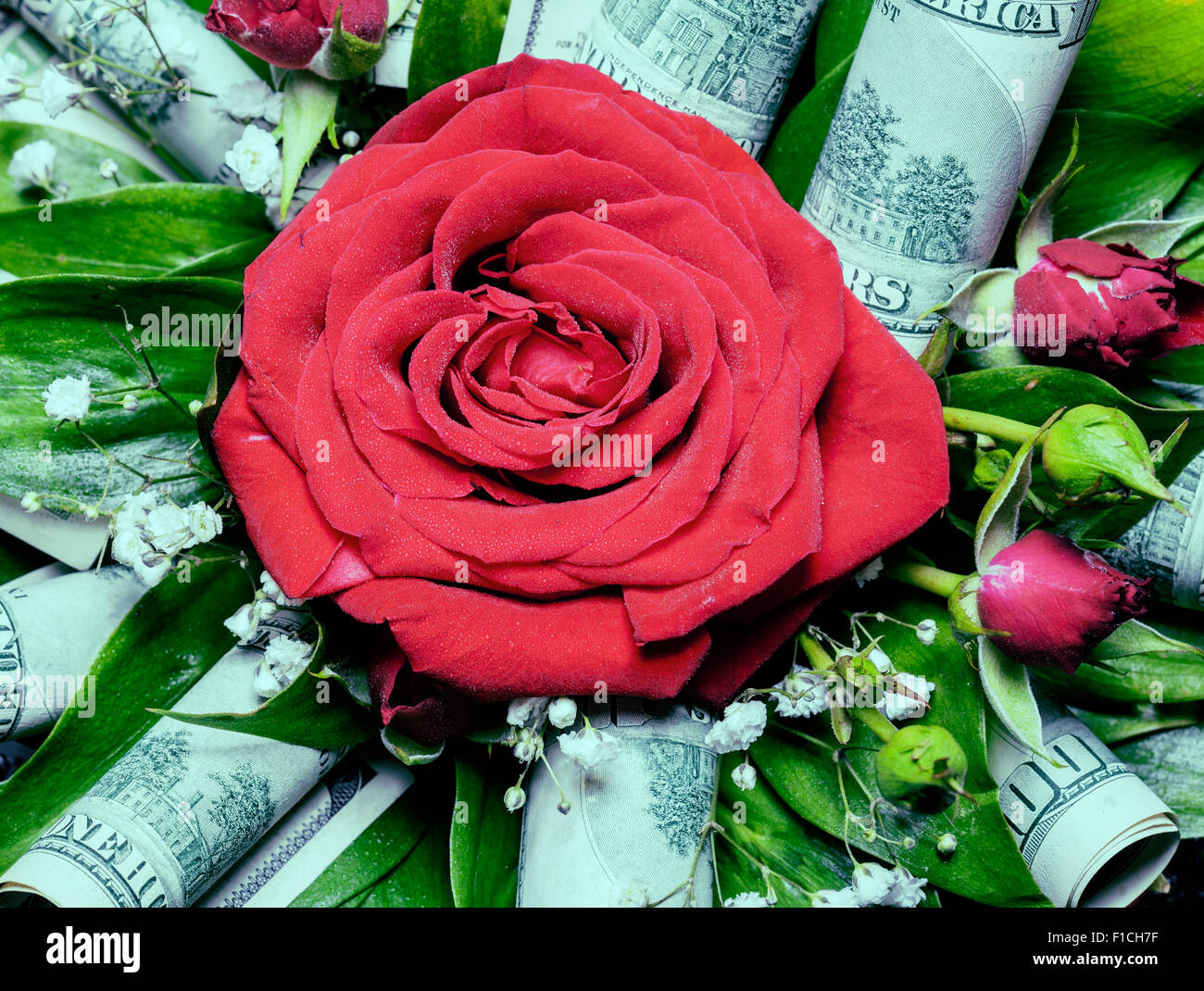 red rose in bouquet decorated with hundred dollars notes, ideal gift ...