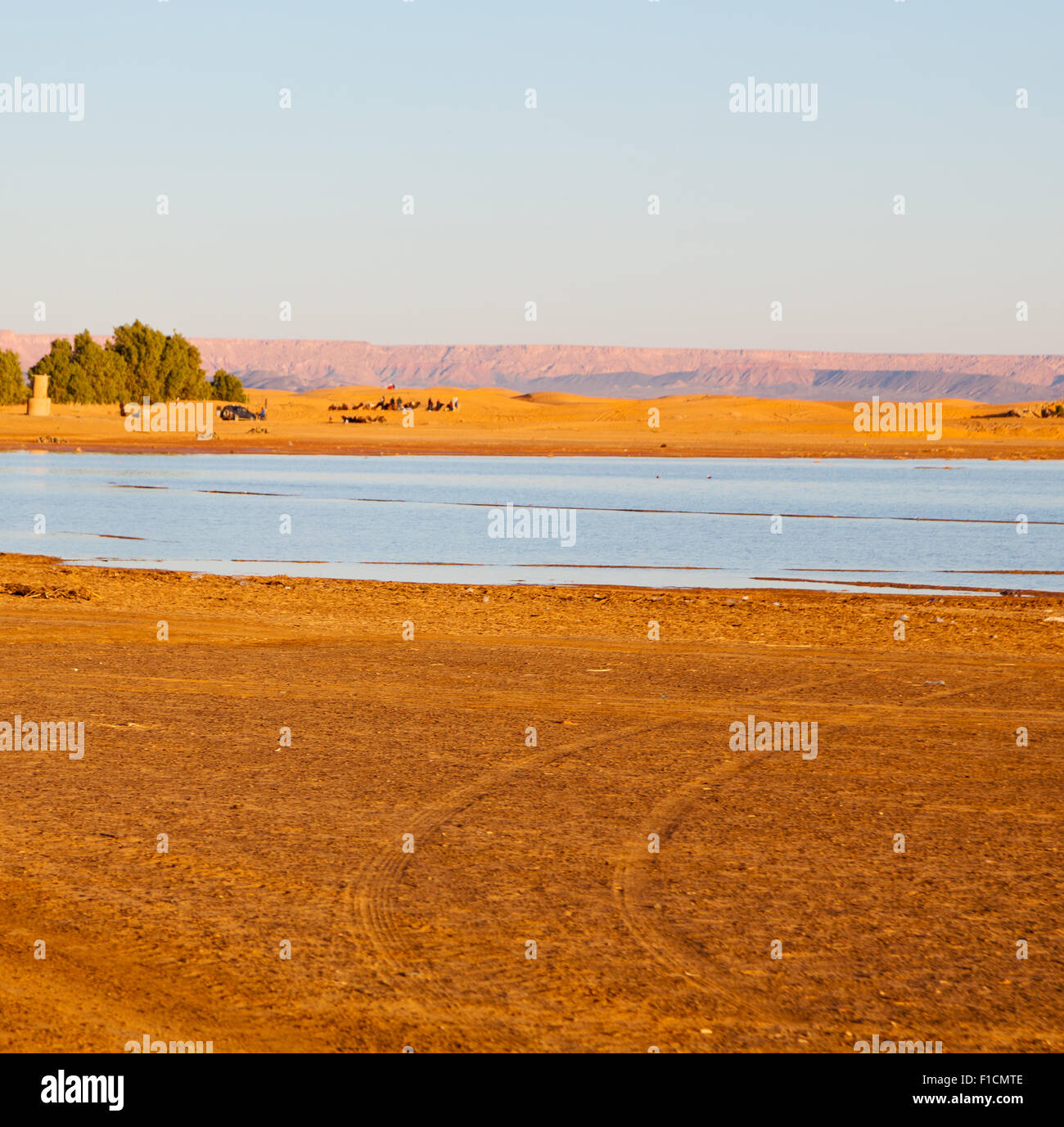 sunshine in the desert of morocco sand and lake dune Stock Photo - Alamy