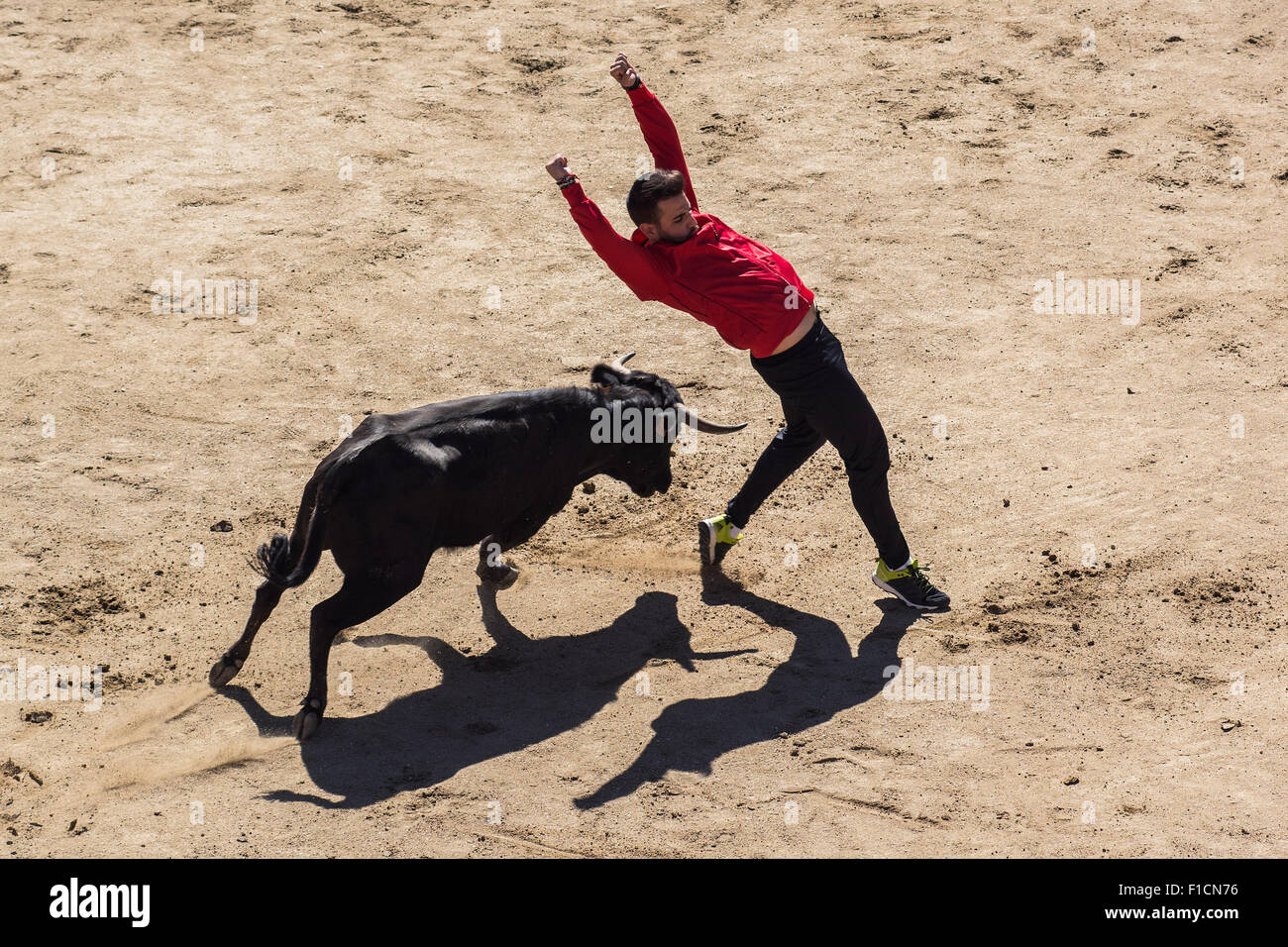 A man escapes from a bull during a show in Spain Stock Photo - Alamy