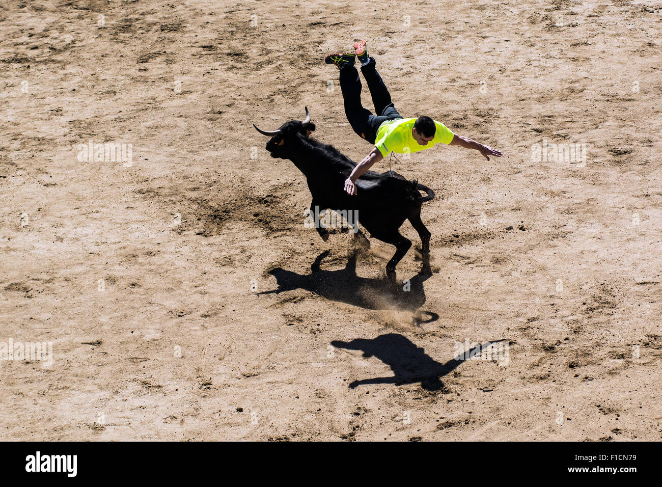 Spain madrid spanish bull bulls hi-res stock photography and images - Alamy