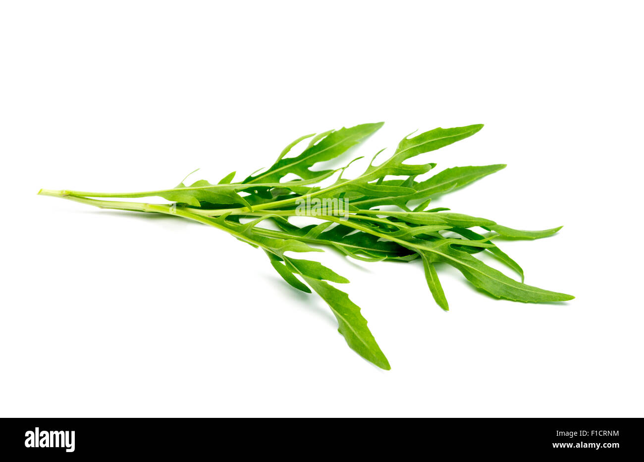 fresh wild rocket rucola leaves on white background Stock Photo - Alamy