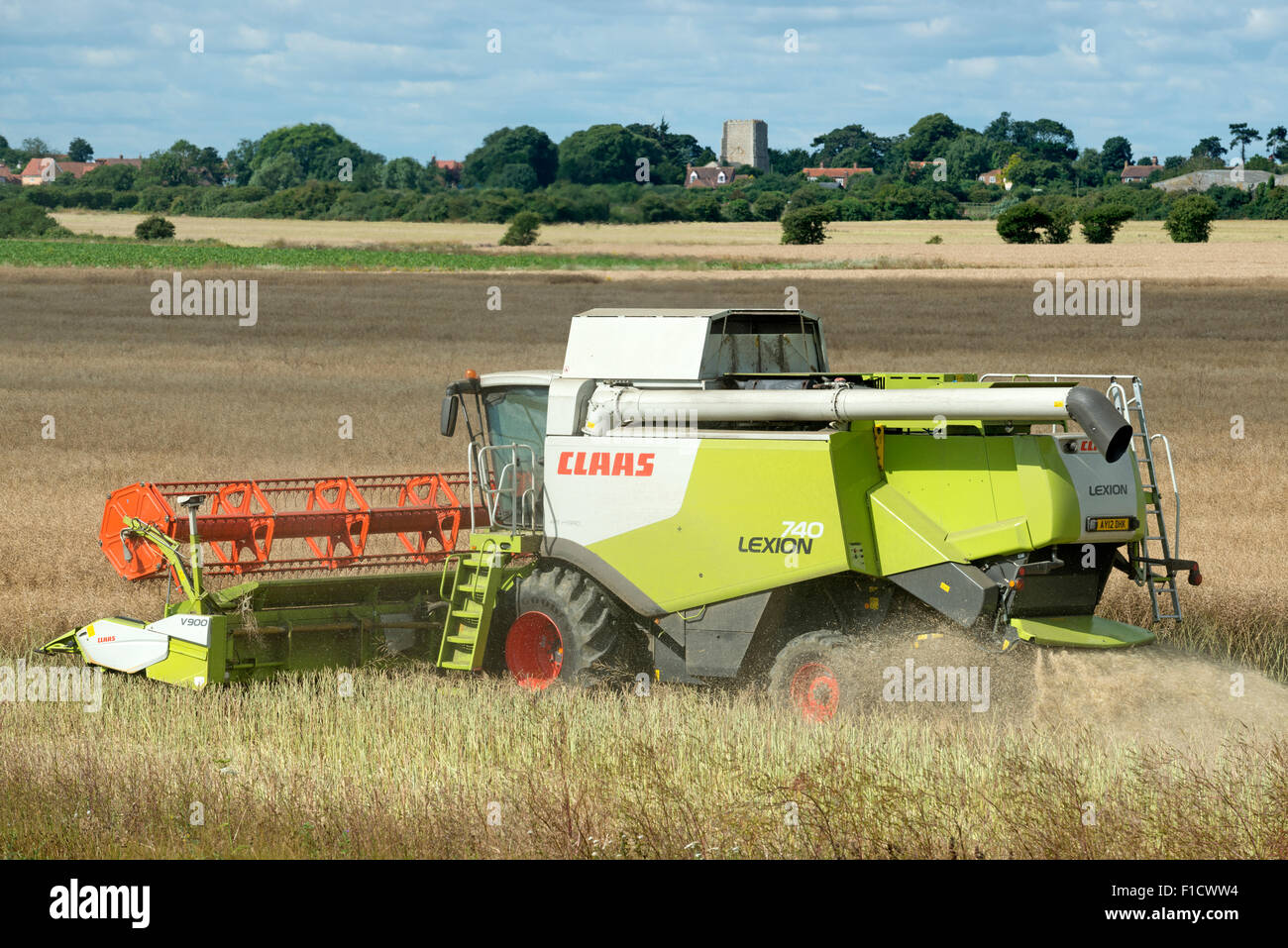 Claas Lexion 740 combine harvester cutting oil seed rape for biogas ...