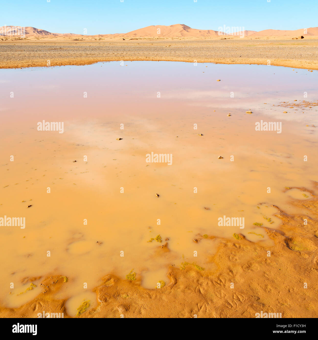 sunshine in the desert of morocco sand and lake dune Stock Photo - Alamy