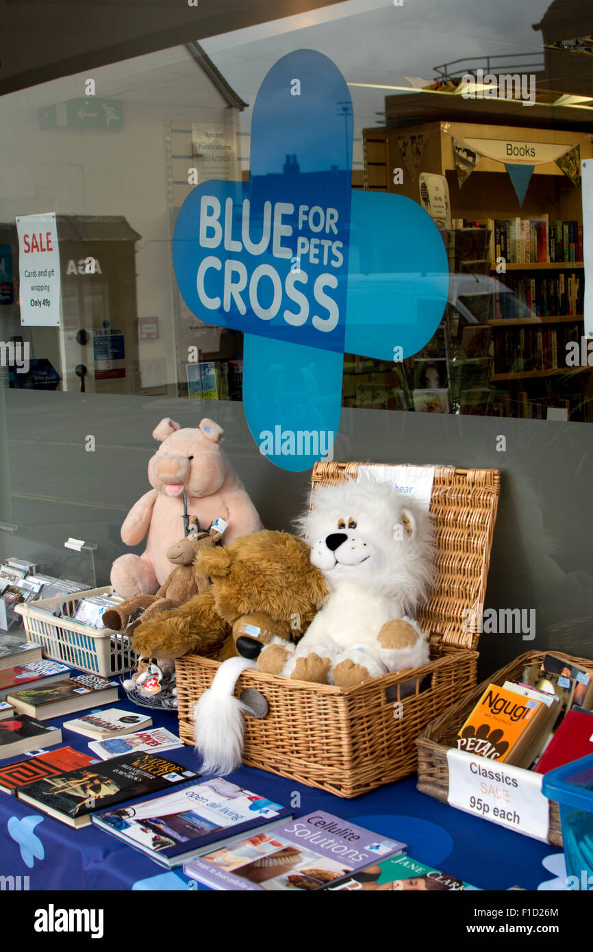 Blue Cross Charity Pets
