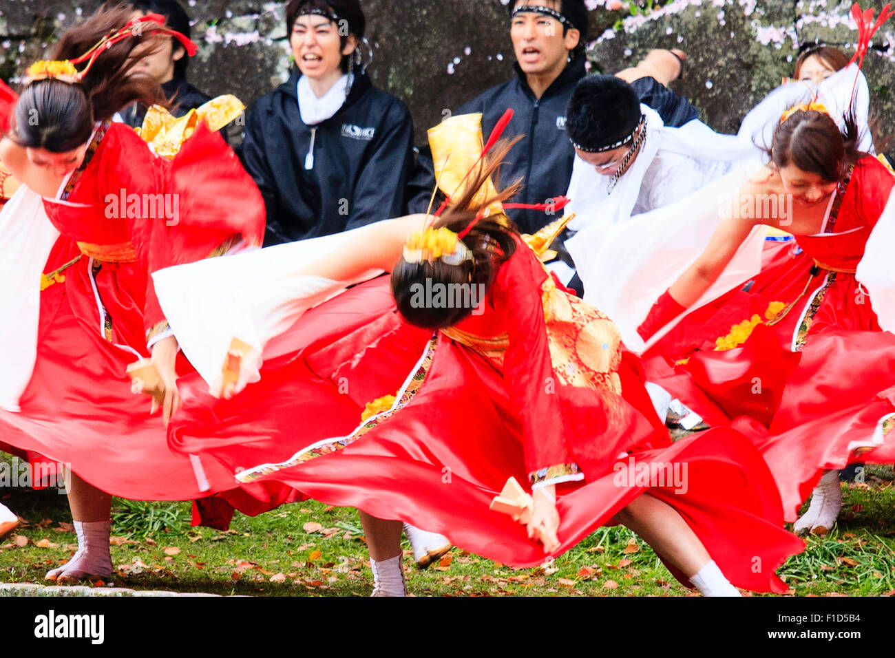 Japanese yosakoi dance team dancing in front of castle stone wall ...