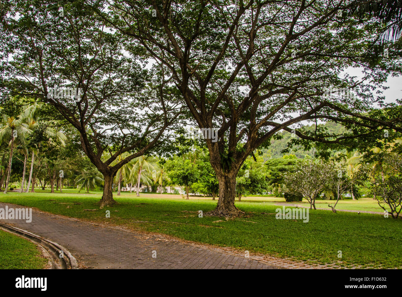 Walkway and trees hi-res stock photography and images - Alamy
