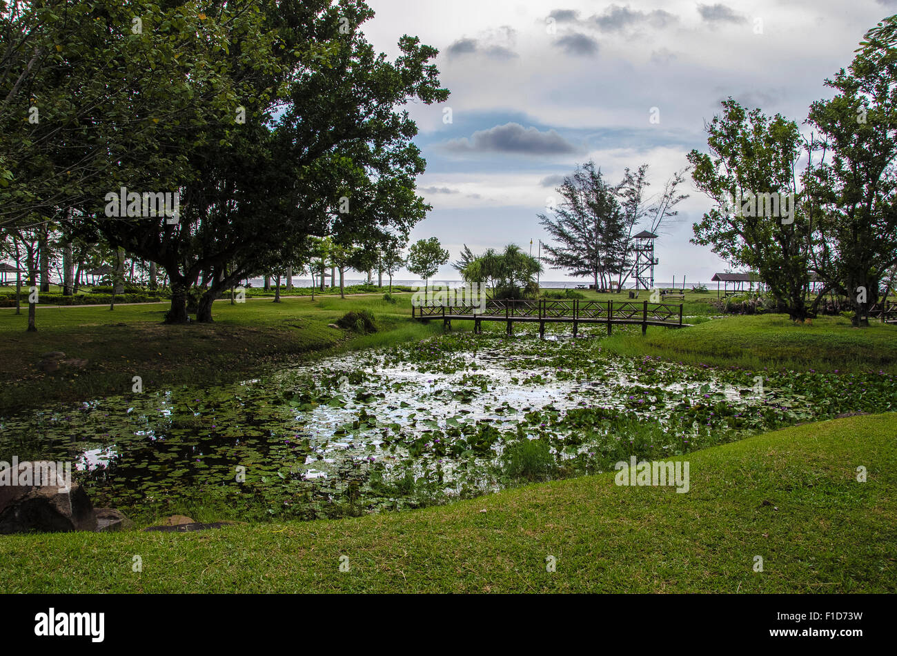 Pond by the sea Stock Photo - Alamy