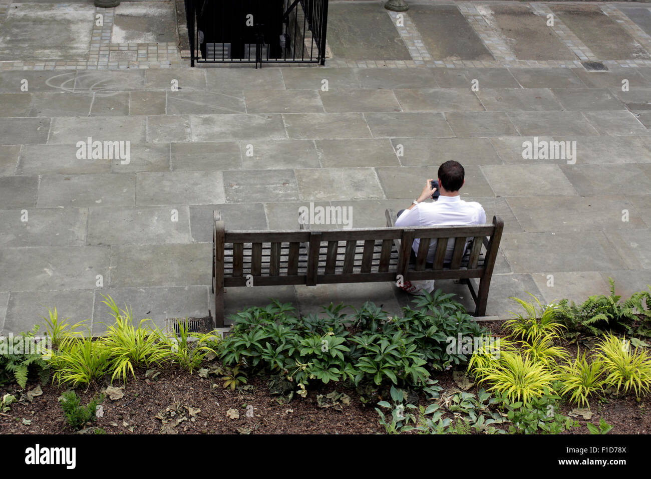 Man using his mobile phone on a bench near Holborn, London Stock Photo ...