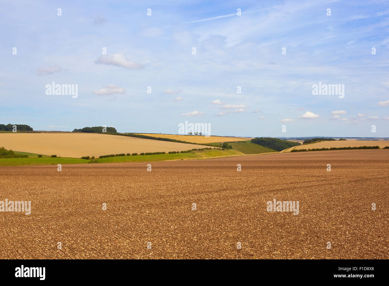 Patterns and texture of a newly cultivated and sown field in the scenic ...