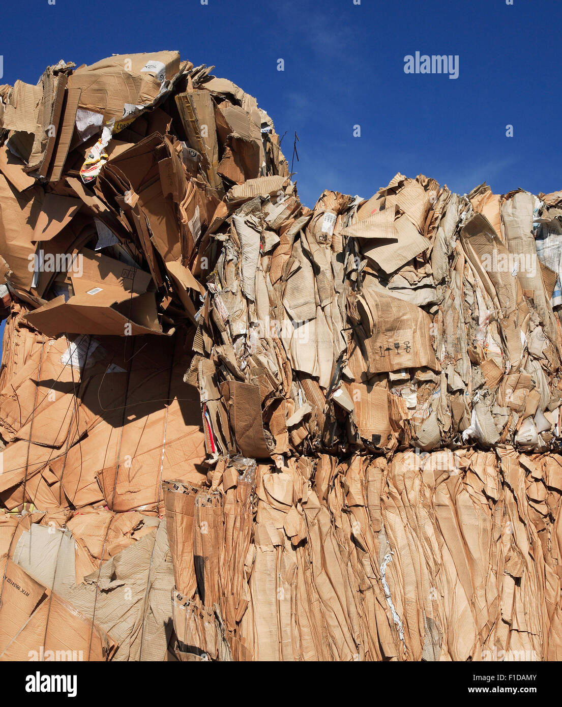 Waste paper hi-res stock photography and images - Alamy