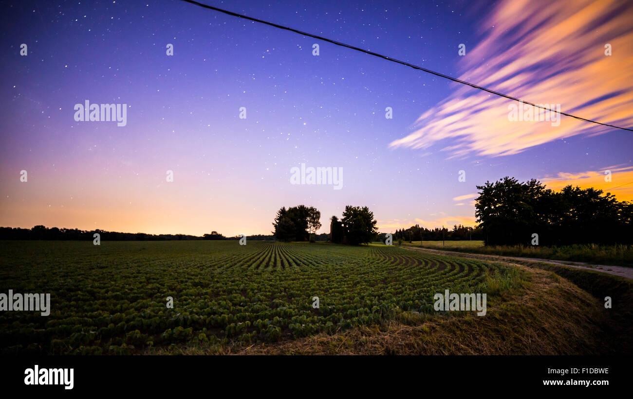 an abandoned and ruined farm in the fields of Italy Stock Photo - Alamy