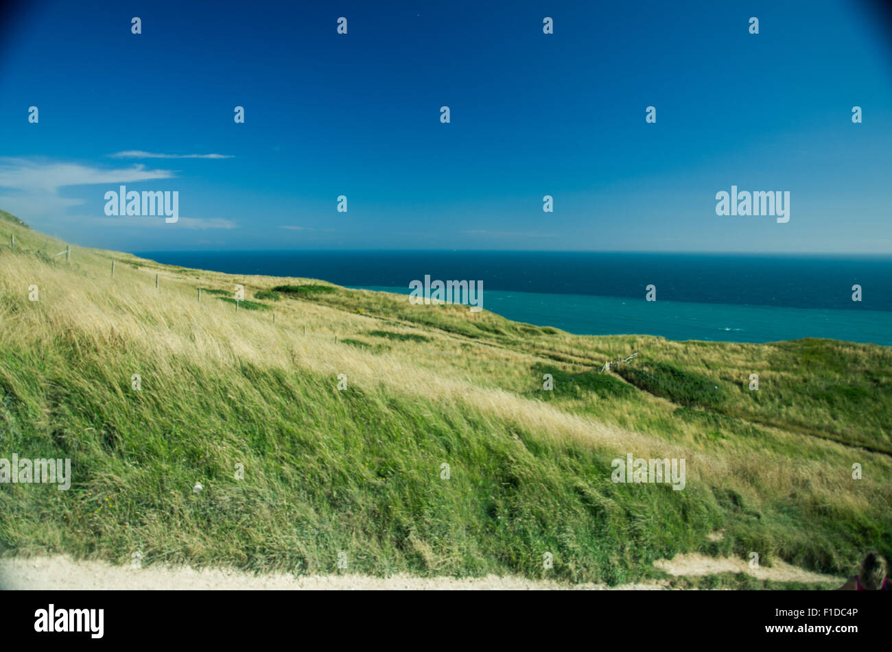 Beach side hill, grass, sea, hill, sand and grass Stock Photo - Alamy