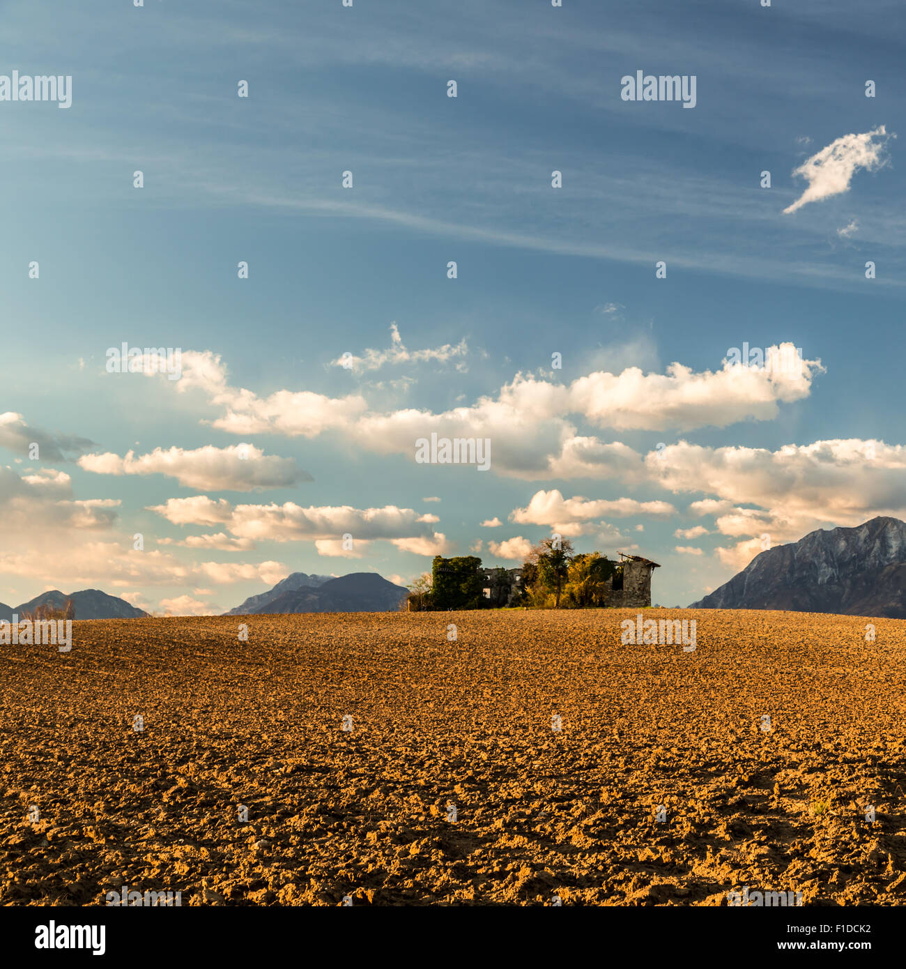 an abandoned and ruined farm in the fields of Italy Stock Photo - Alamy