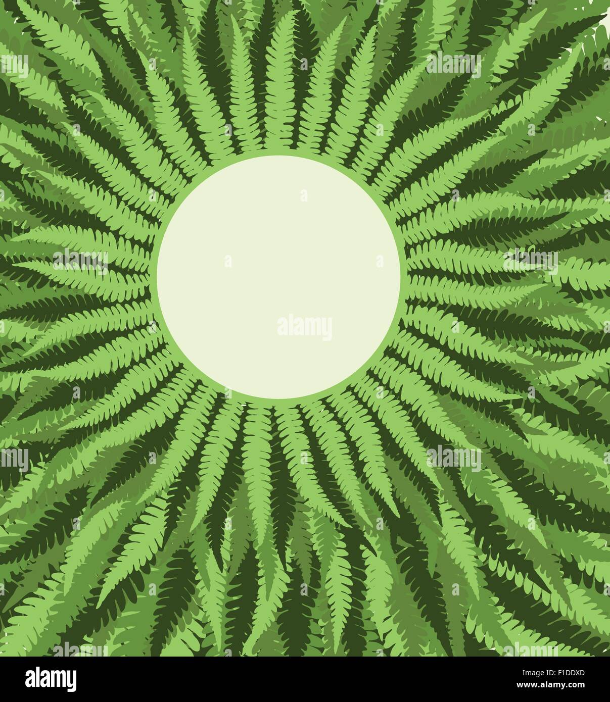 Fern Frame Background Stock Vector Image & Art - Alamy