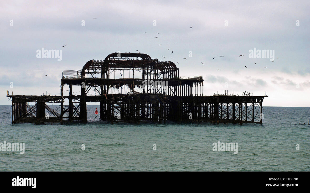 Burnt down pier occupied by seagulls cloudy afternoon sky, Brighton ...