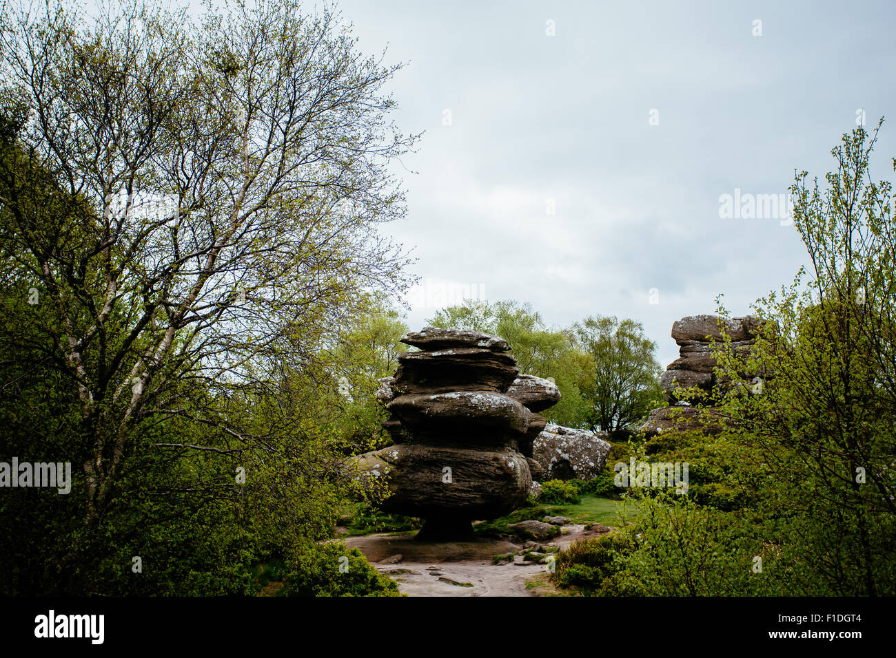 Brimham Rocks looking through the woodland at the rock formations Stock ...