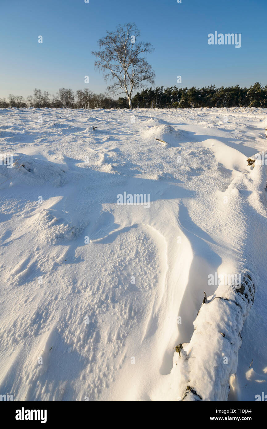 The strong winds have created beautiful forms in the snow, snowdrifts ...