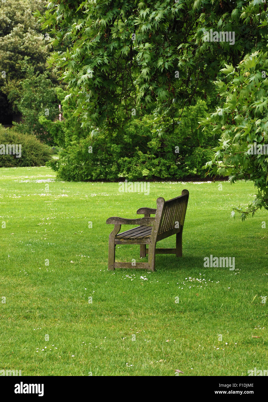Lonely wooden garden bench at Kew Botanical Gardens, London England ...