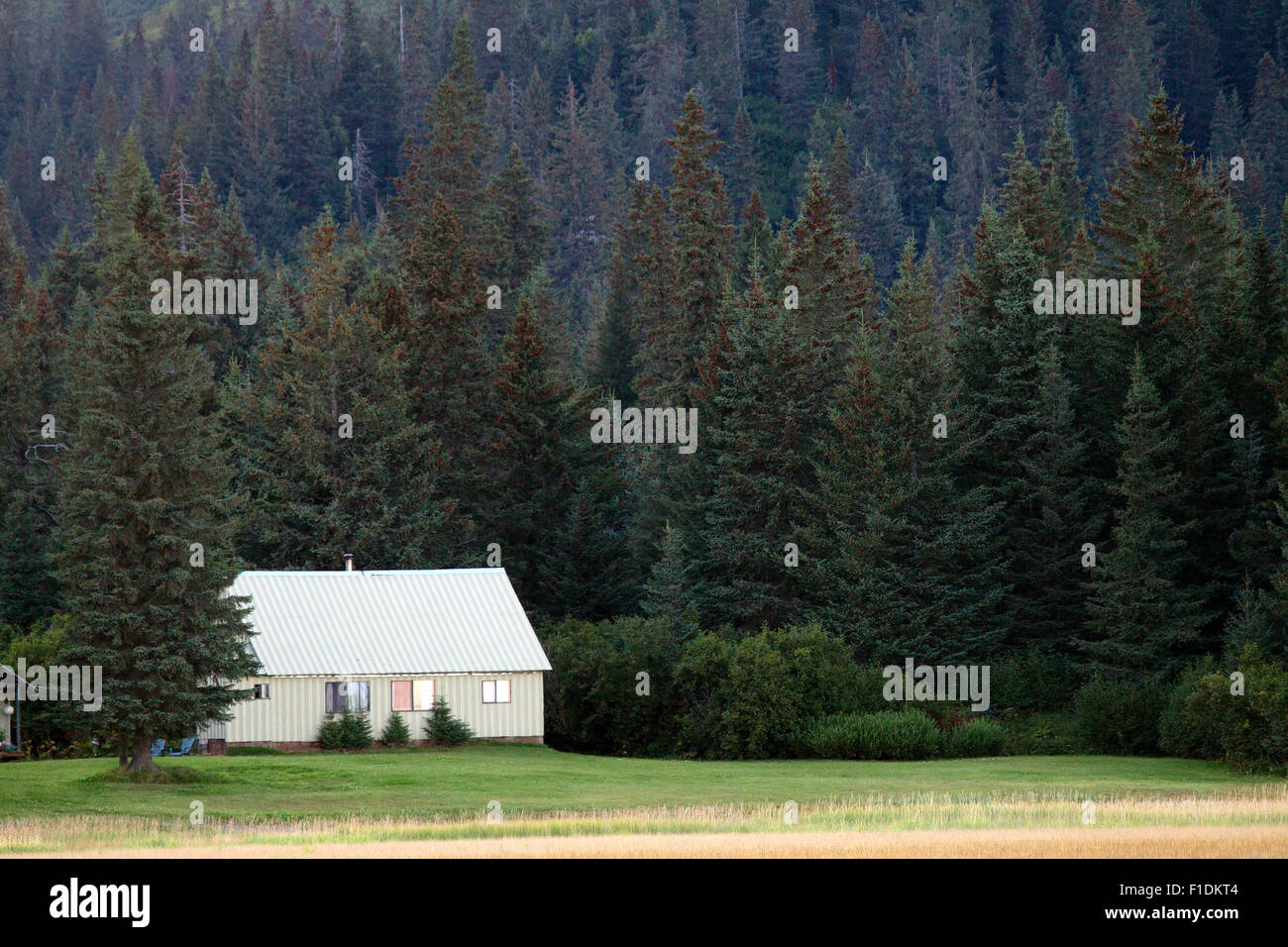 Small white cabin in front of pine forest hi-res stock photography and ...