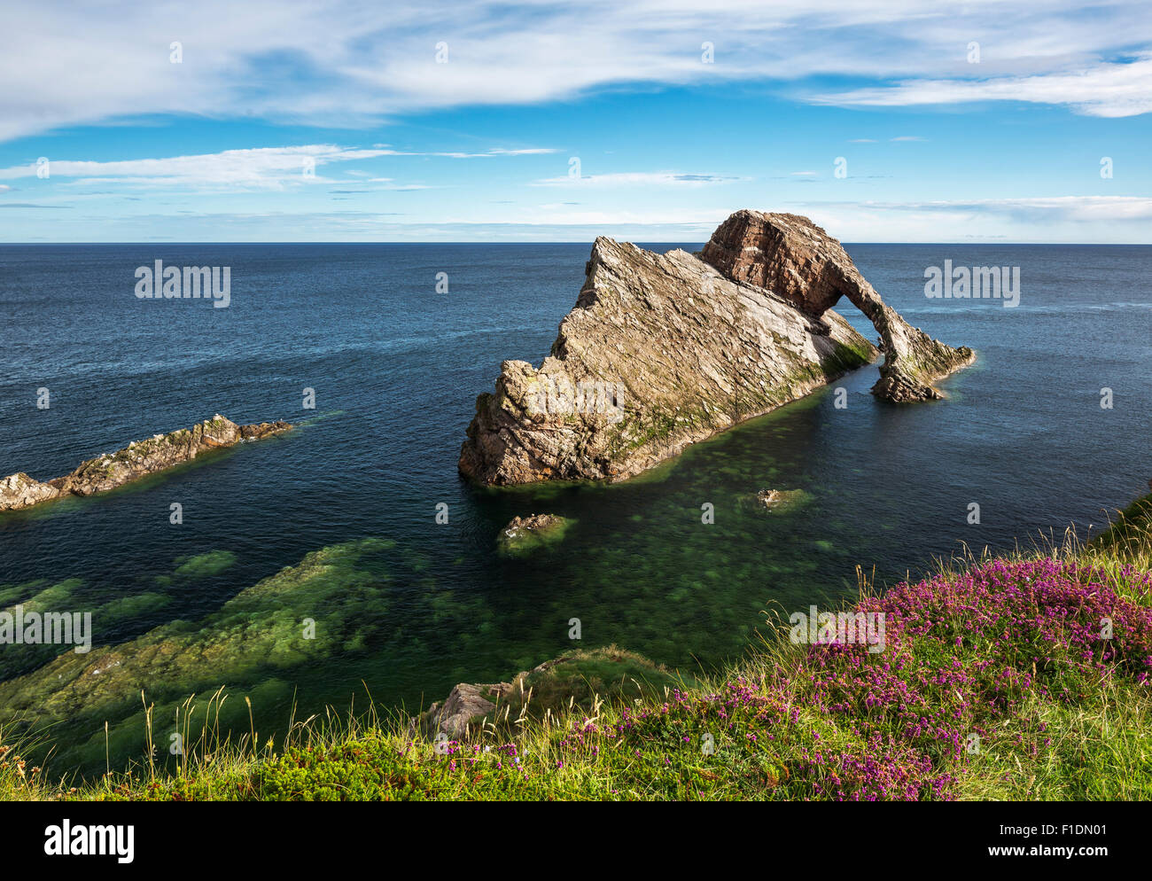 Fiddle bow hi-res stock photography and images - Alamy