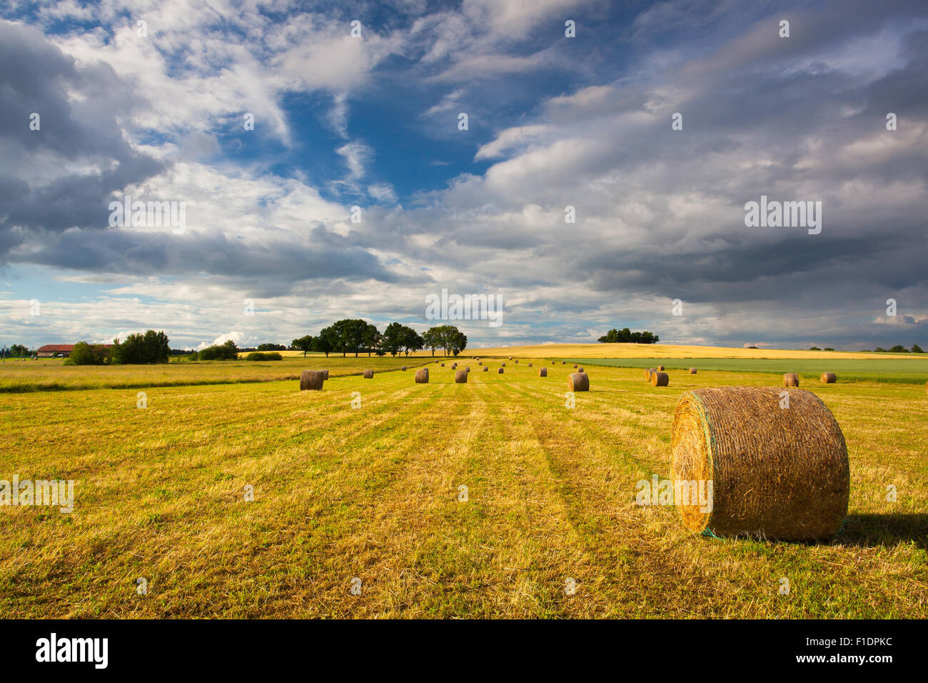 Harvest time and summer landscape after a storm Stock Photo - Alamy