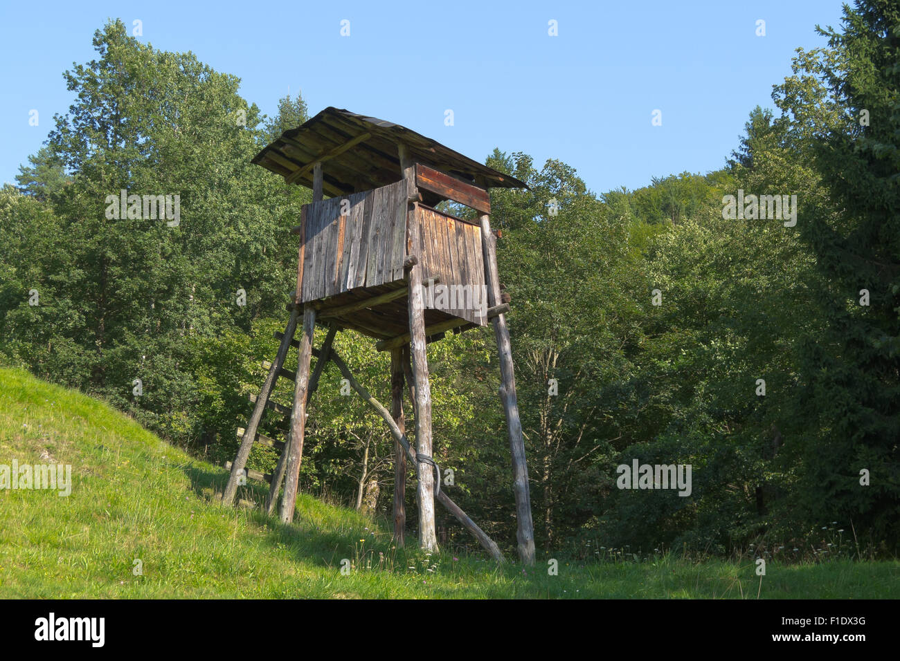 Hunting tower structure Stock Photo - Alamy
