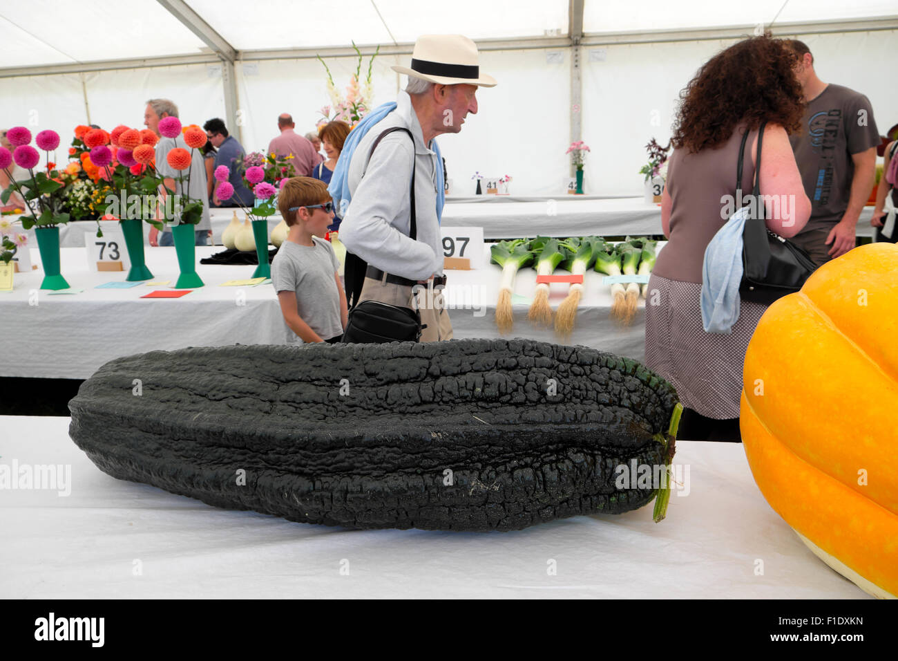 Giant vegetable child hi-res stock photography and images - Alamy