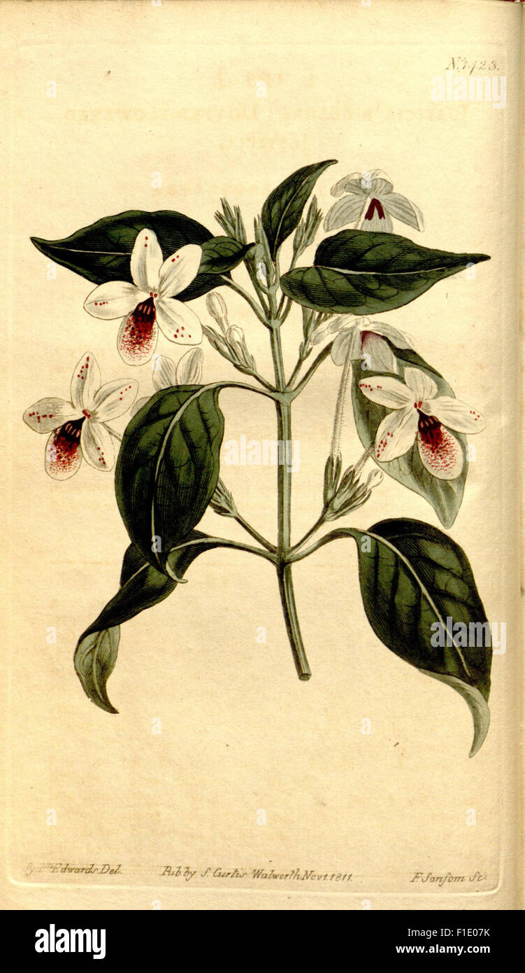 'Curtis's Botanical Magazine' is a renowned botanical periodical ...